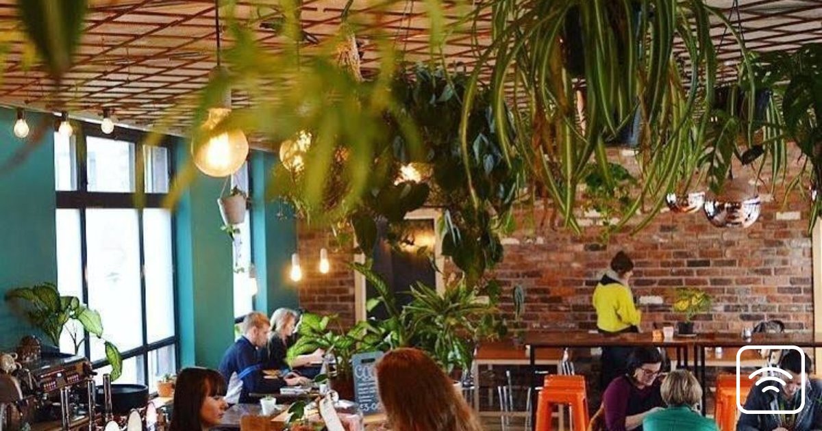 Nice Neighbourhood: A Work-Friendly Place in Sheffield